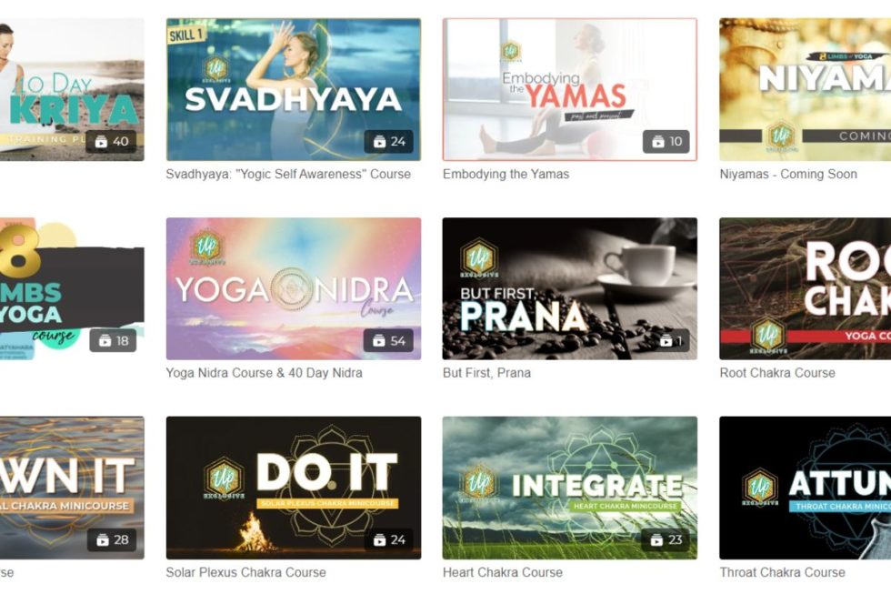 6 Best Online Course Platforms For Yoga Teachers (Ranked) – Brett ...