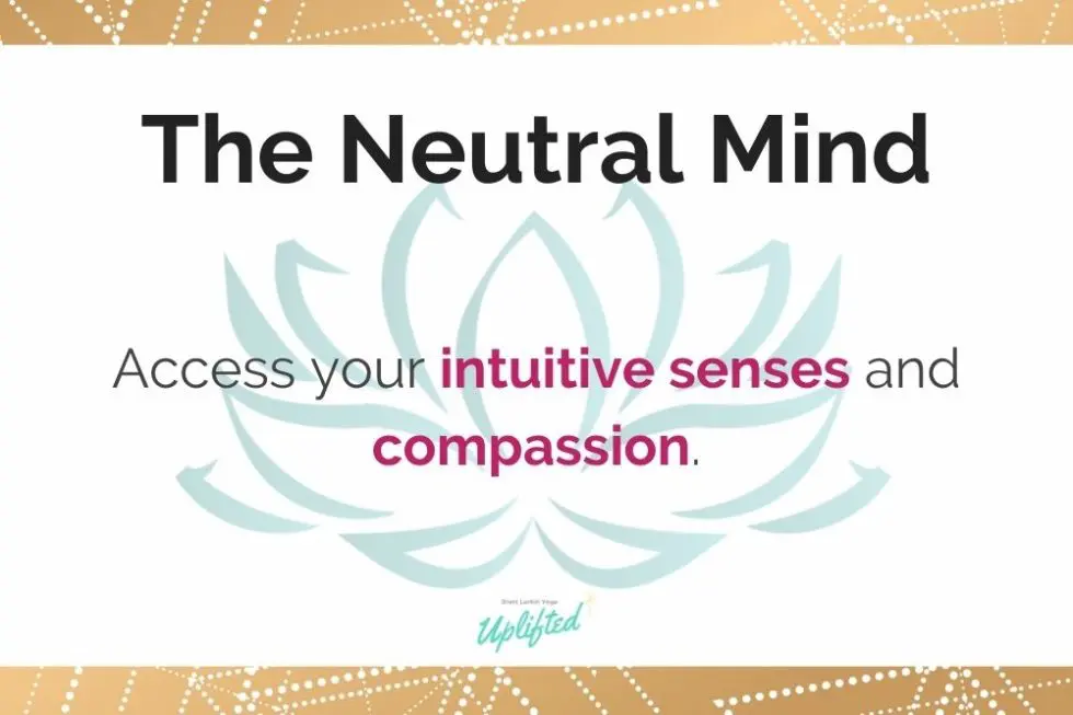 The 10 Bodies Of Yoga And How To Activate Them – Brett Larkin Yoga