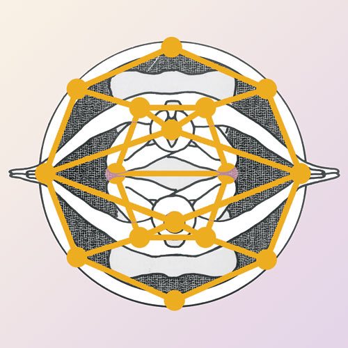 21 Things You Should Know About White Tantra – Brett Larkin Yoga