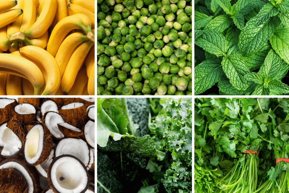 Ayurveda Food Combining: The Key To Balanced Digestion – Brett Larkin Yoga