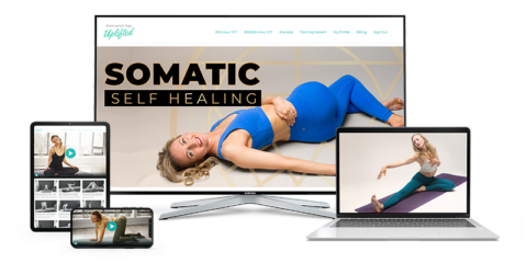 Somatic Energy Healing: Techniques To Realign And Restore Balance – Brett Larkin Yoga