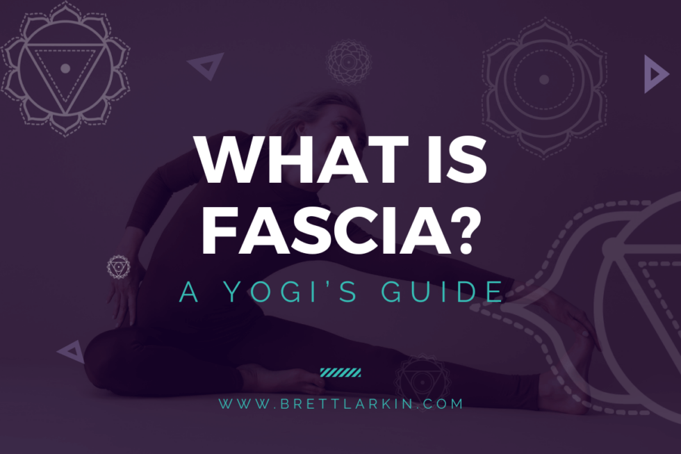 What Is Fascia In The Body? A Yogi's Guide – Brett Larkin Yoga