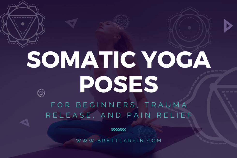 Somatic Yoga Poses For Every Body And Mind – Brett Larkin Yoga